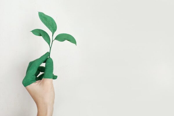 Earth Day Campaign: 7 Ideas For Sustainable & Responsible Marketing - Kimp