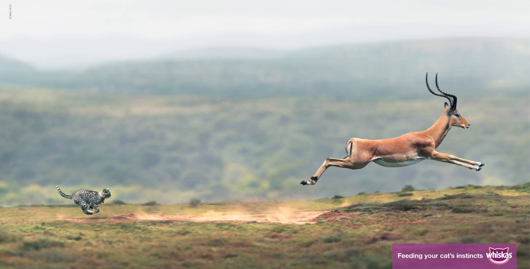 Magazine Ads: Design Strategies for Maximum Impact - Kimp