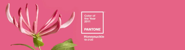 Pantone Colors Through the Years: A Legacy of Color Trends - Kimp