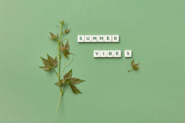 Beat the Heat: 25 Coolest Summer Fonts for Your Next Project - Kimp